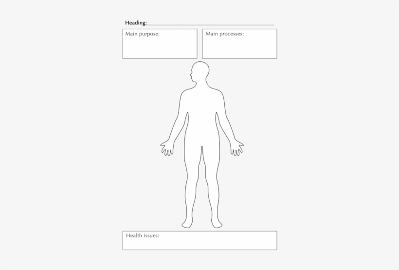 Following Is The Page To Photocopy For Learners To - Human Body System ...