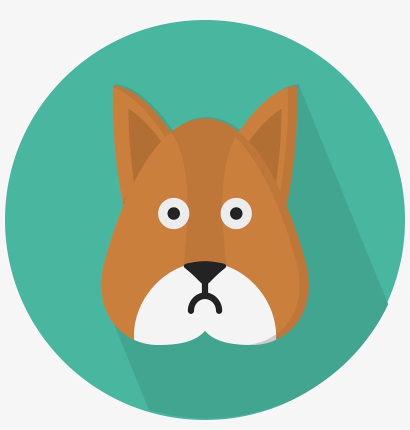 Open - Squirrel PNG Image | Transparent PNG Free Download on SeekPNG