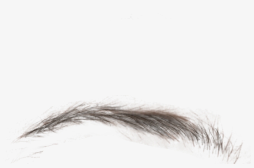 Eyebrows চুখের ব্রু Makeup Click Here - Information PNG Image ...