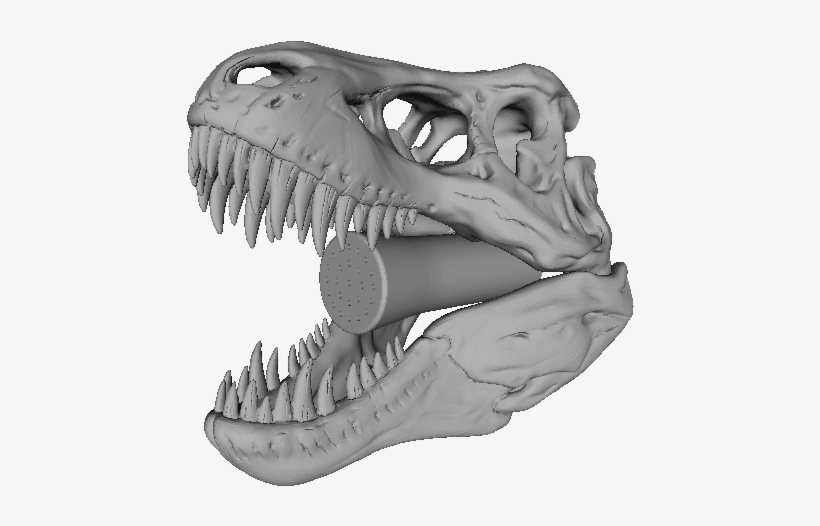 Voronoi T-rex Shower Head Cause, Why Not - Skull PNG Image ...