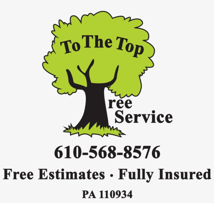 Top Tree Service PNG Image | Transparent PNG Free Download on SeekPNG