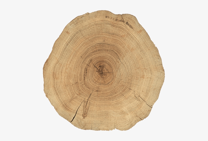 Log - Logarithm PNG Image | Transparent PNG Free Download on SeekPNG