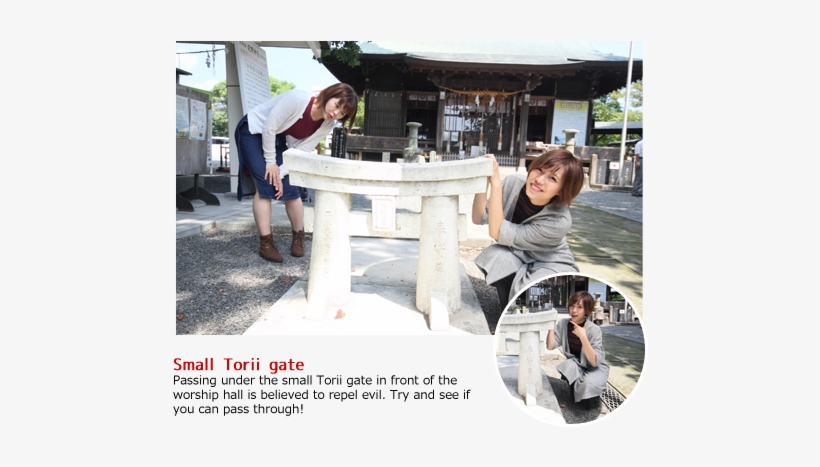 Small Torii Gate - Mini Cooper PNG Image | Transparent PNG Free ...