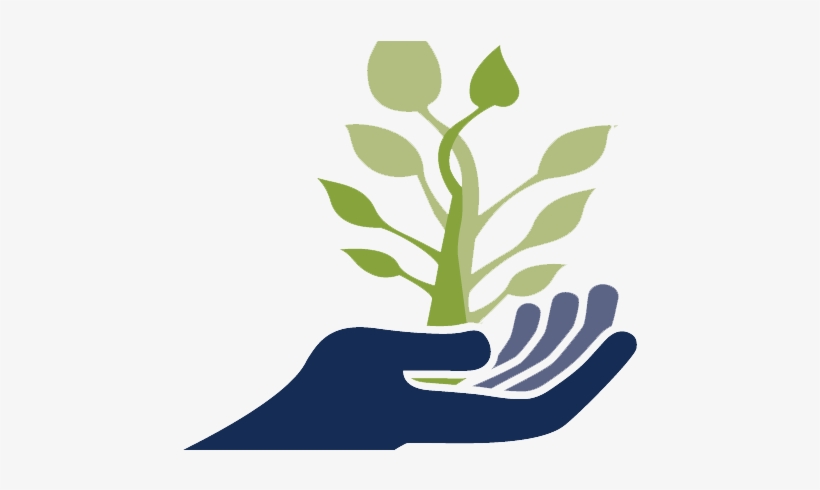 Plant In Hand Png - Plant On Hand Png PNG Image | Transparent PNG Free ...