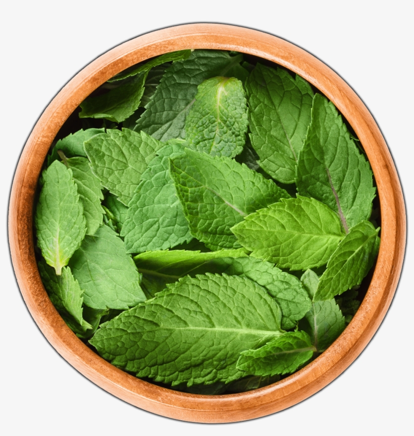 Peppermint PNG Image | Transparent PNG Free Download on SeekPNG