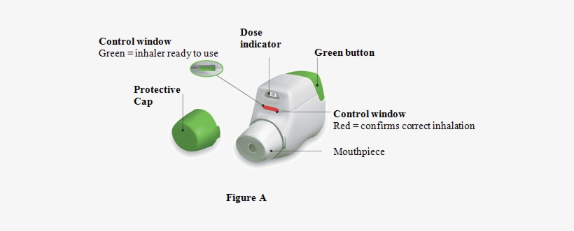 Become Familiar With The Parts Of Your Genuair Inhaler - Bromuro De ...