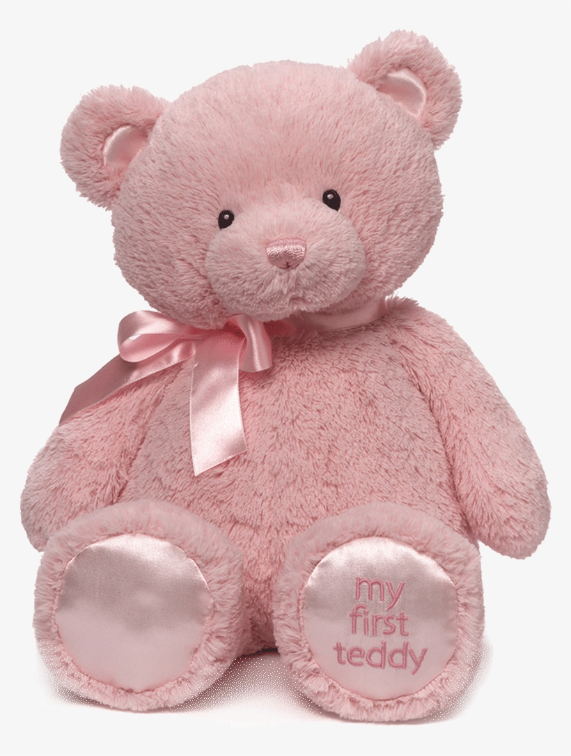 My 1st Teddy Pink Front - Gund Large My First Teddy - Pink PNG Image ...