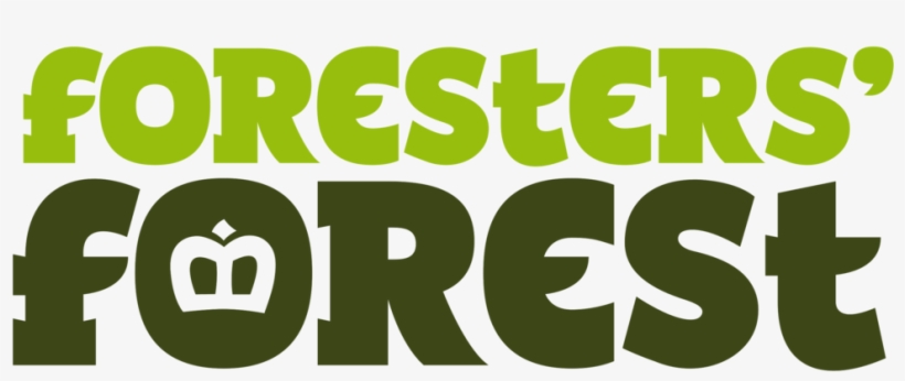 Foresters Forest - Forest PNG Image | Transparent PNG Free Download on ...