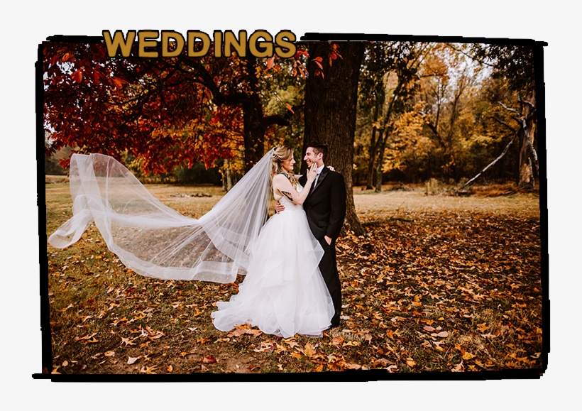 Untitled-1 - Ashley Benham Photography PNG Image | Transparent PNG Free ...