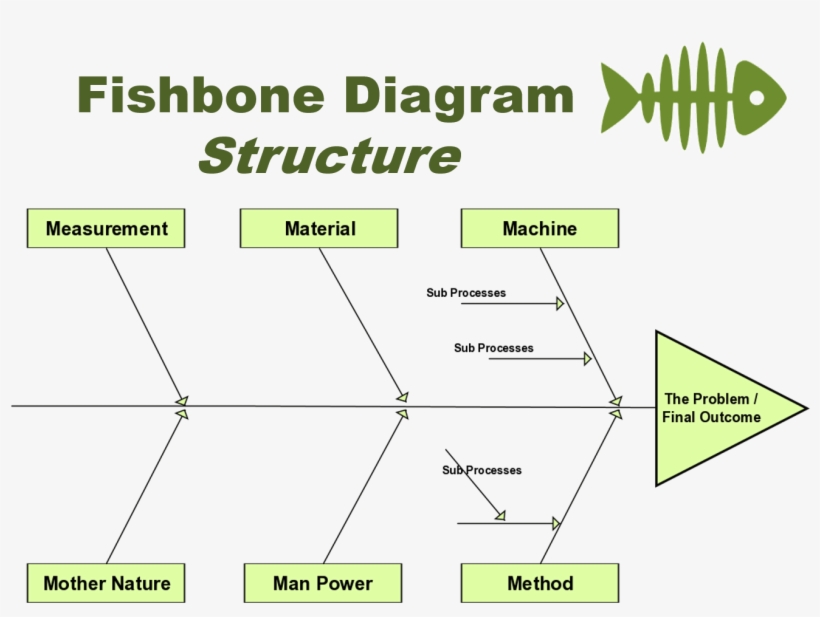 Fish Bone - 6 Ms Fishbone PNG Image | Transparent PNG Free Download on ...