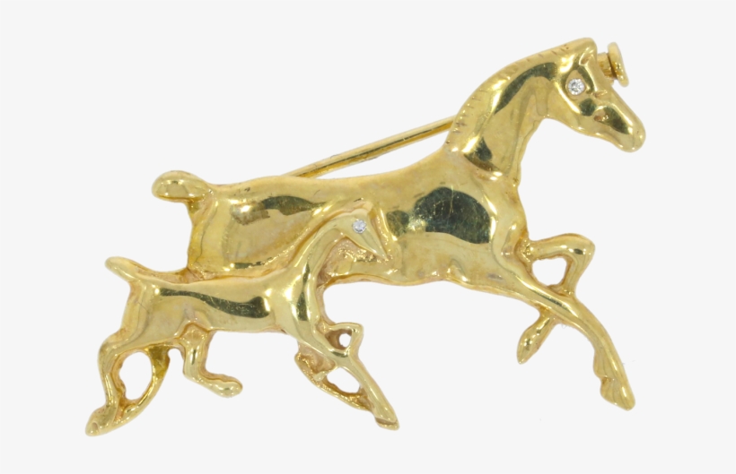 Mare PNG Image | Transparent PNG Free Download on SeekPNG