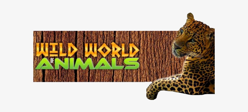 Wild World Of Animals Show - Wild World Of Animals PNG Image ...