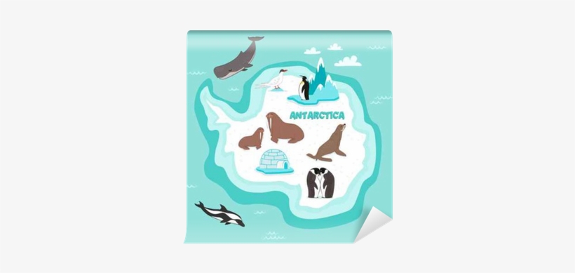 Antarctic Continent Map With Wildlife Animals Vector - Antarctica ...