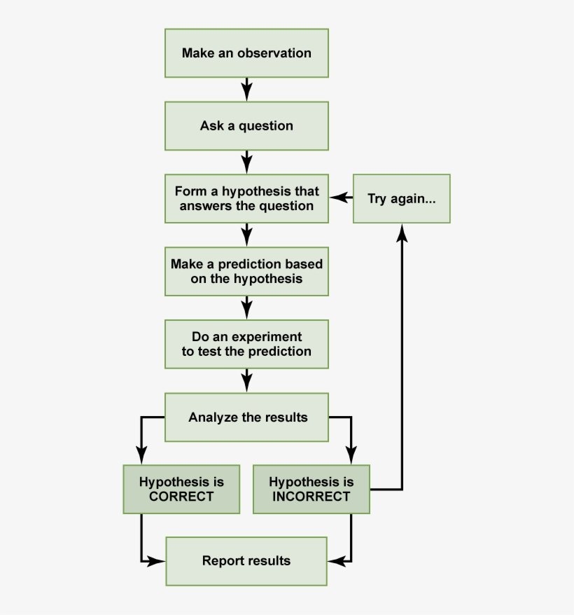 Download Ngss & The Scientific Method - Scientific Method 7 Steps ...