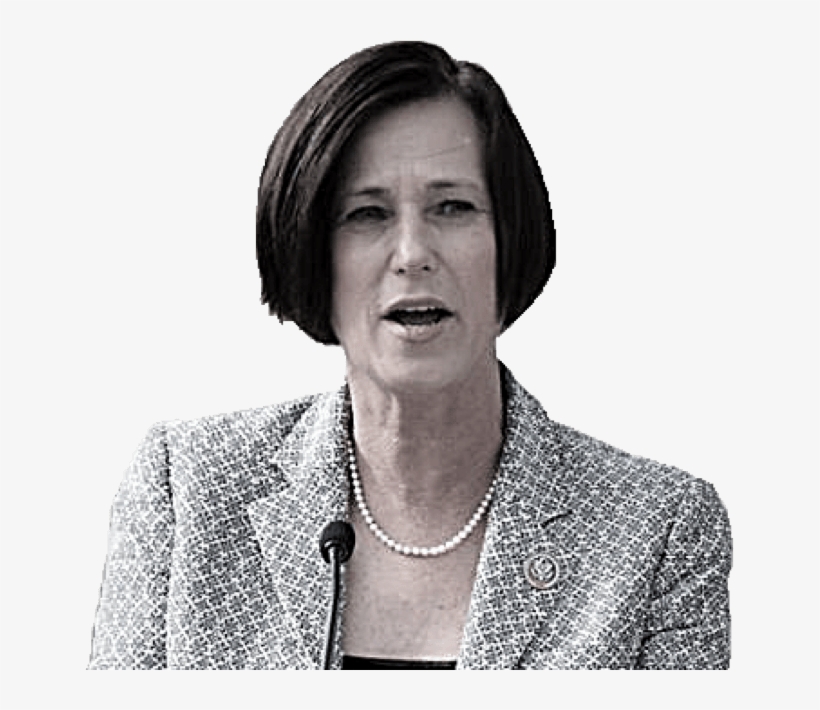 Mimi Walters Is Lying - Tax PNG Image | Transparent PNG Free Download ...