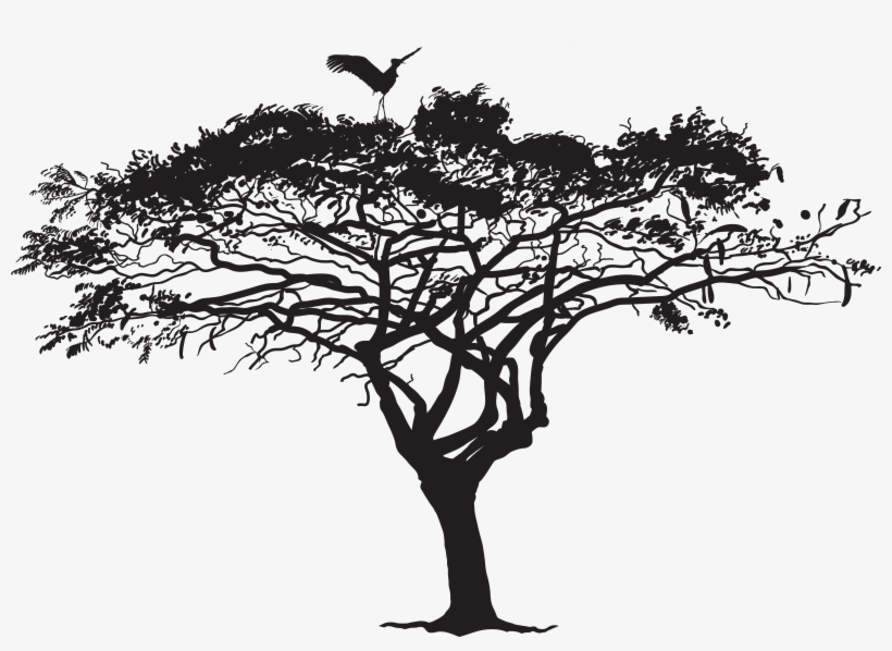 Exotic Tree And Bird Silhouette Png Clip Art Image - Tree Birds ...