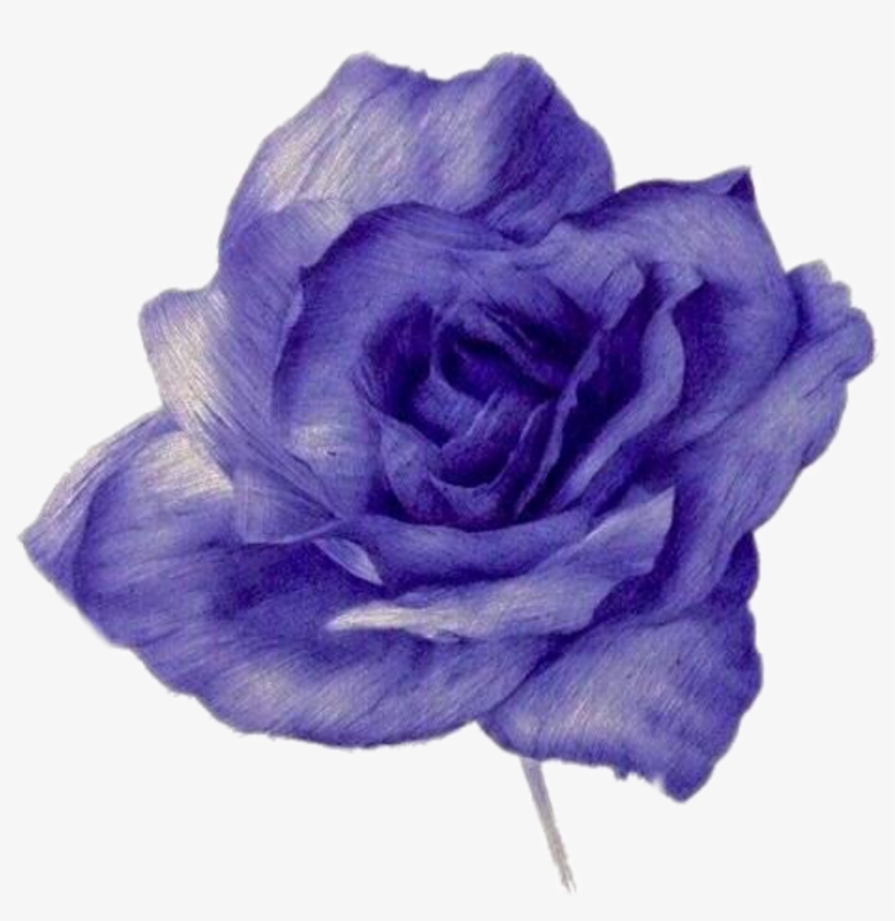 Flower Flowers Blue Watercolor Tumblr - Instagram PNG Image ...