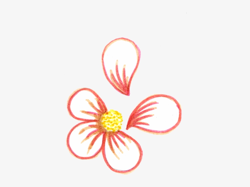 Flowers Transparent Tumblr Drawing