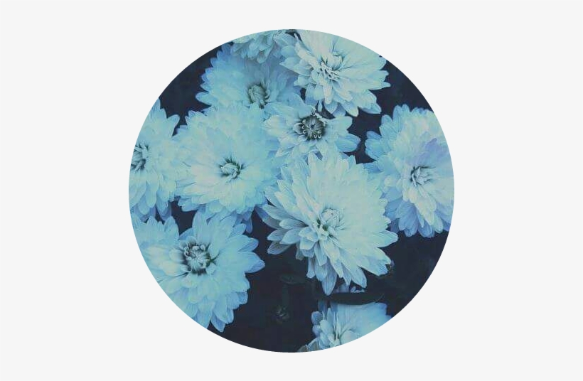Download Flowers Blue Tumblr - Pastel Blue Blue Stickers | Transparent ...