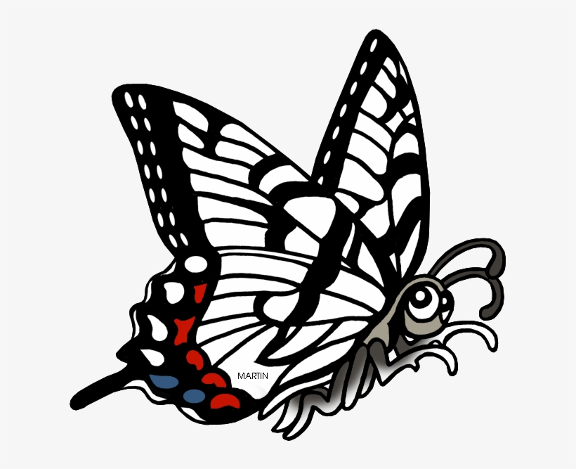 Zebra Clipart Phillip Martin - Zebra Swallowtail Clipart PNG Image ...