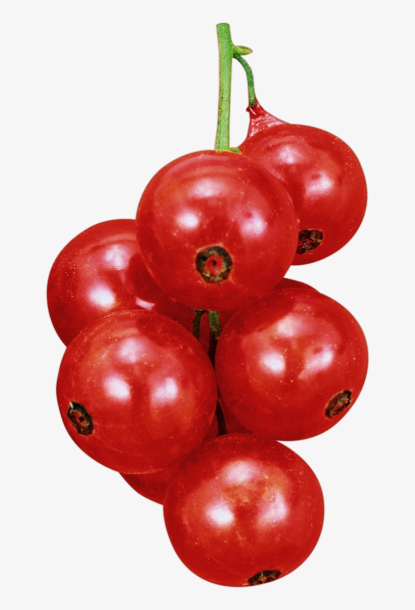Blackcurrant PNG Image | Transparent PNG Free Download on SeekPNG