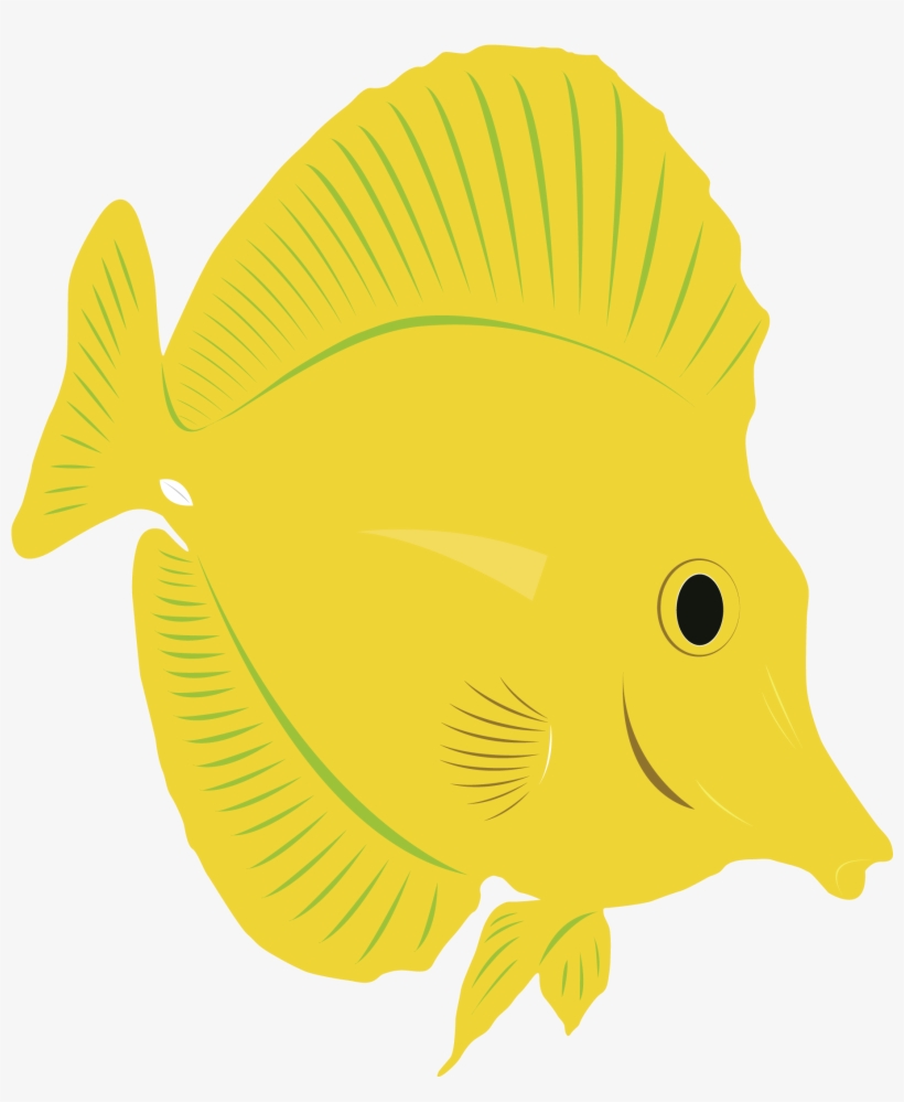 Yellow Tang Drawing