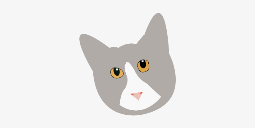 Gray Cat - Cat PNG Image | Transparent PNG Free Download on SeekPNG