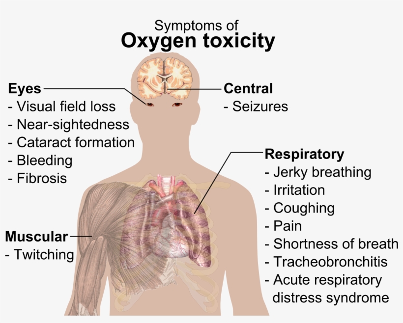 Symptoms Of Oxygen Toxicity - Oxygen Overdose PNG Image | Transparent ...