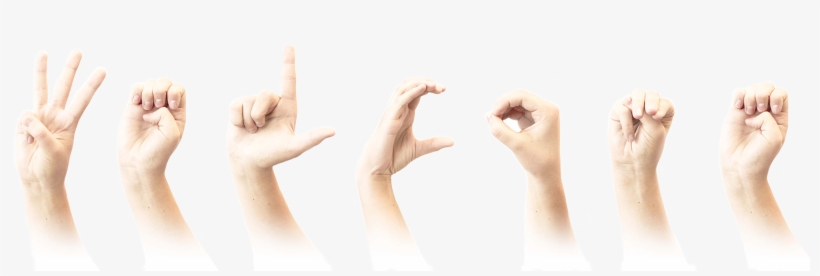 Download Sign-language - Logan In Sign Language | Transparent PNG ...