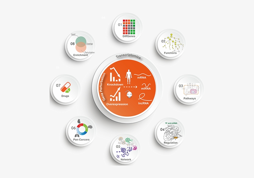 Quick Search, Start Typing Keywords, Press Esc To Close - Grading In ...