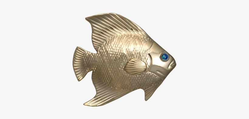 Angelfish Pin/pendant - Lg PNG Image | Transparent PNG Free Download on ...