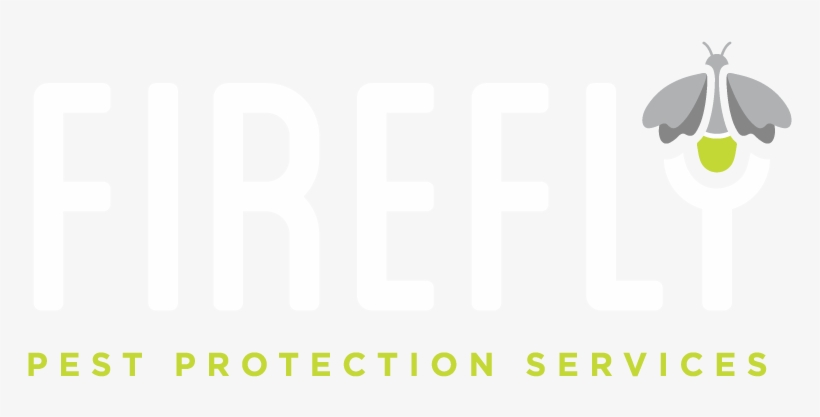 Download Firefly Pest Control - Pest | Transparent PNG Download | SeekPNG