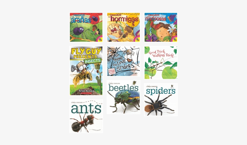 Multcolib School Corps Picks Insects And Spiders Grades - Fly Guy ...