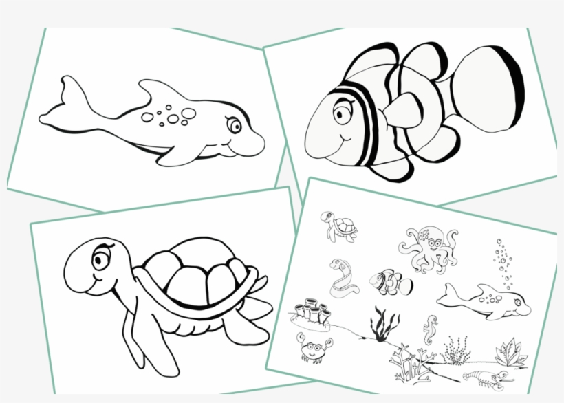 Sea Animals creatures Theme topic Colouring Pages activity Early Sea Animals creatures Theme topic Colouring Pages activity Early