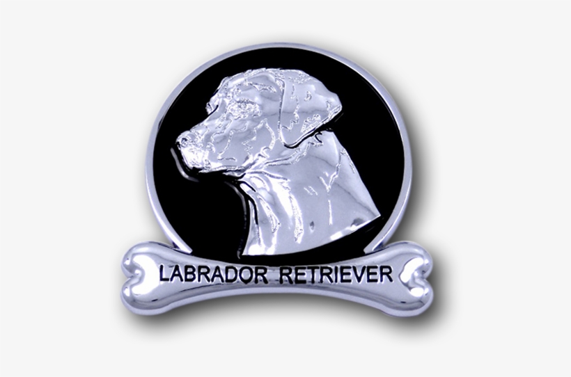 Labrador Retriever PNG Image | Transparent PNG Free Download on SeekPNG