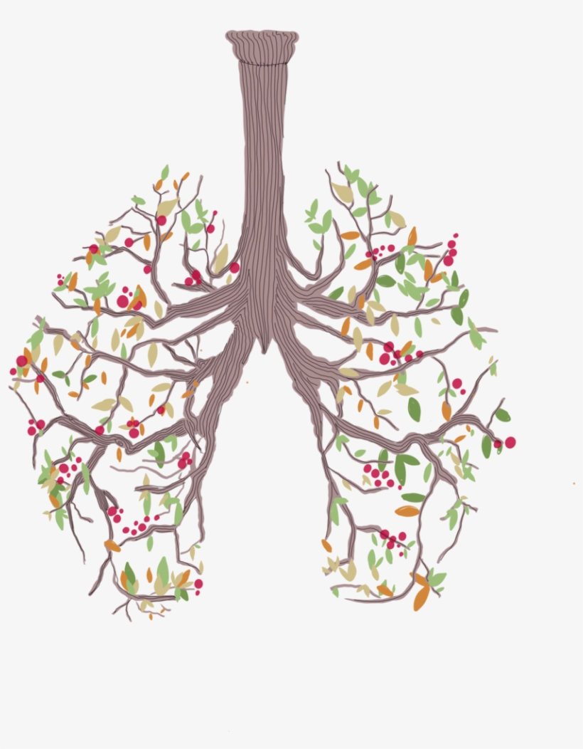Download Breathe | Transparent PNG Download | SeekPNG