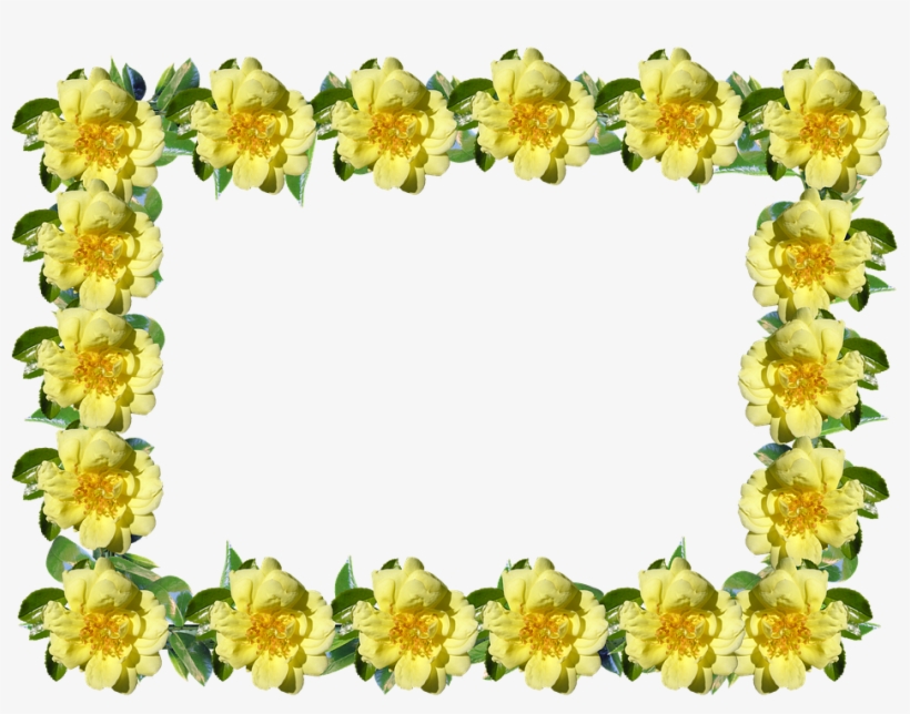 Download Yellow Flowers Border Png - Stock.xchng | Transparent PNG ...
