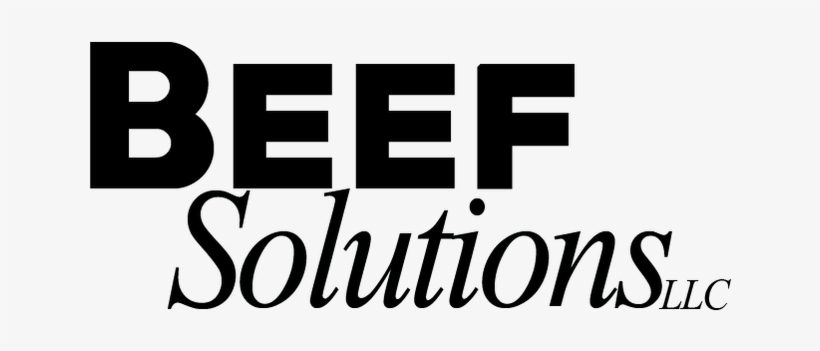 Picture - Angel Bee PNG Image | Transparent PNG Free Download on SeekPNG