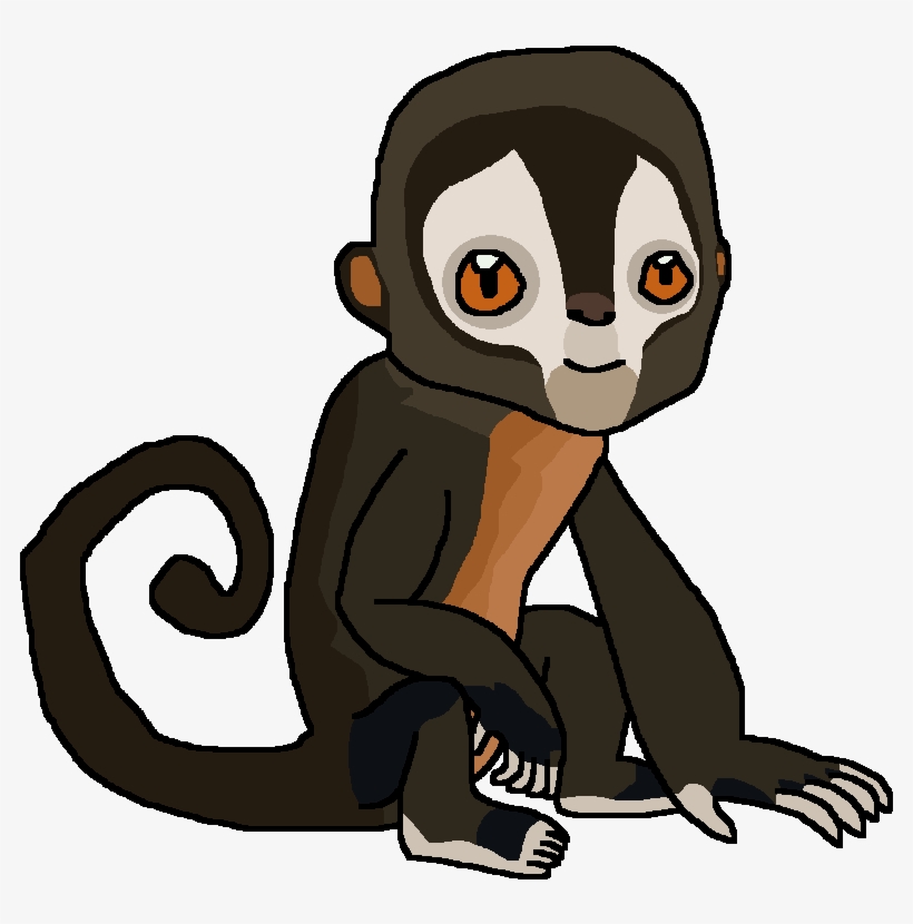 Noisy Night Monkey - Night Monkey PNG Image | Transparent PNG Free ...