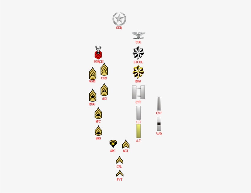 Download The Rank Structure Of Mcy Holds Enlisted And Officer - Army ...