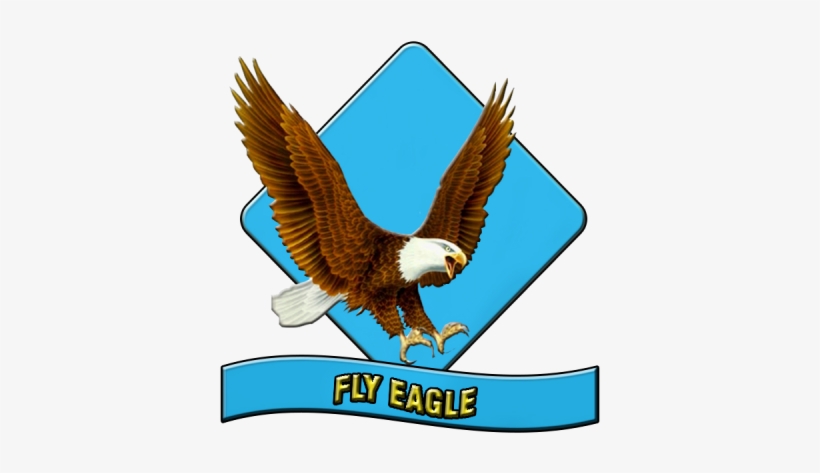 Fly Eagle Services - Eagle PNG Image | Transparent PNG Free Download on ...