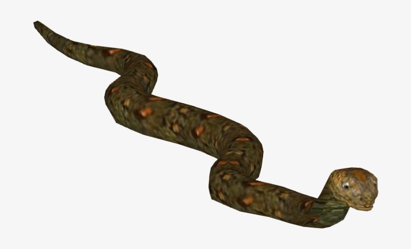 Kikuzato's Brook Snake PNG Image | Transparent PNG Free Download on SeekPNG
