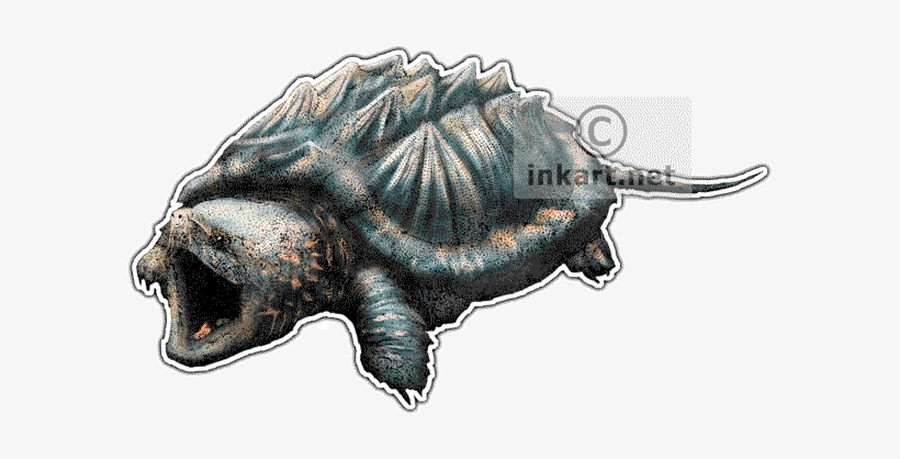 Snapping Turtle Logo