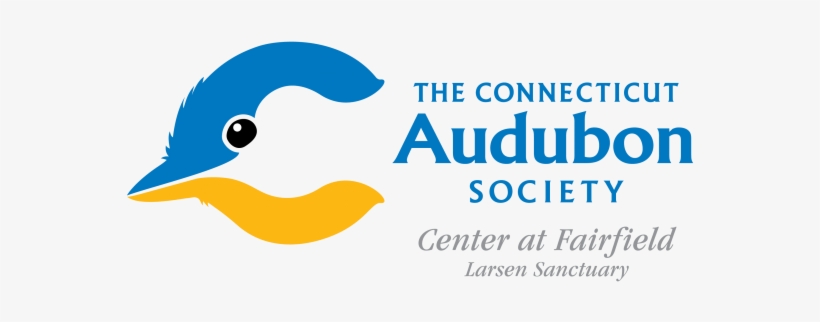 Snapping Turtle - Ct Audubon Society PNG Image | Transparent PNG Free ...