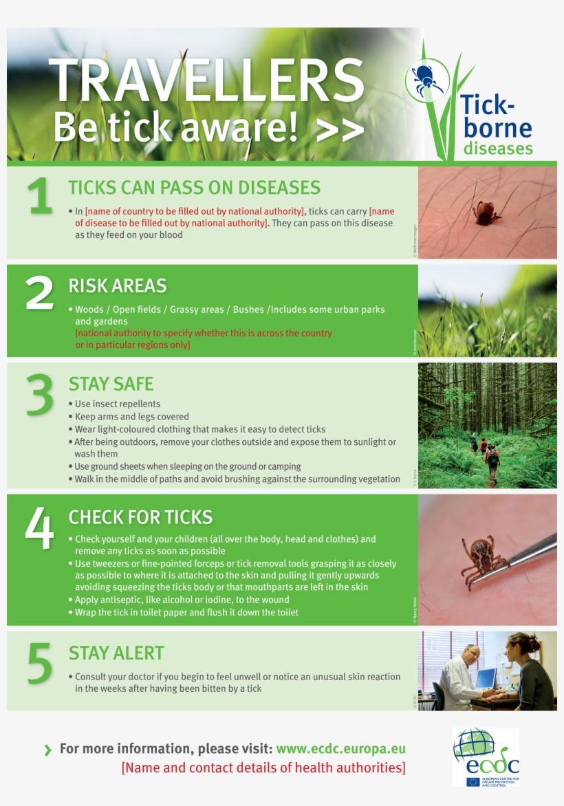 Download Poster For Travellers On Ticks, Tickborne Diseases ...