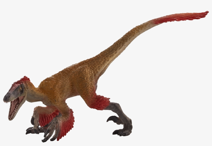 Mojo Fun 2018 PNG Image | Transparent PNG Free Download on SeekPNG