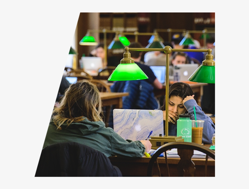 Students Studying - Student PNG Image | Transparent PNG Free Download ...