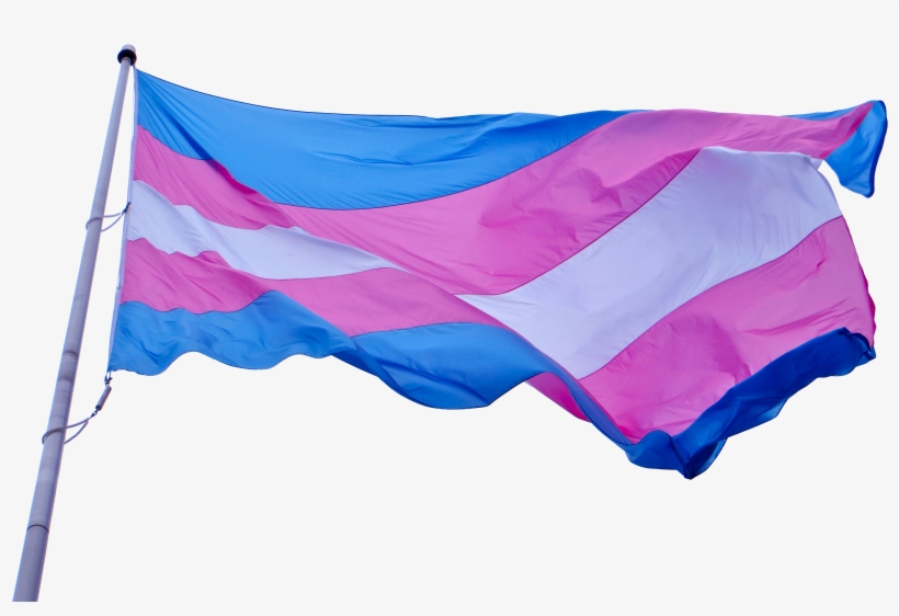 Trans Flag Png PNG Images | PNG Cliparts Free Download on SeekPNG