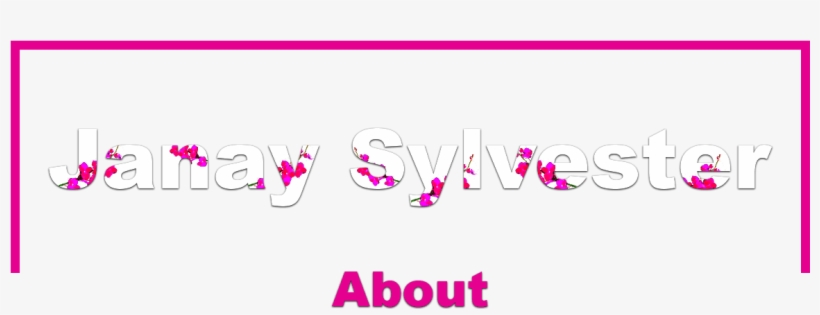 Janay Sylvester Is A Singer, Writer, And Marketing - Nothing Funny ...