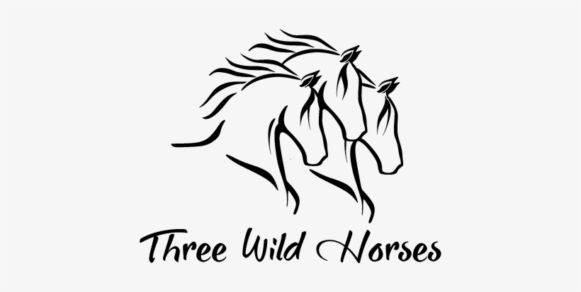 Download Drawings Of Three Horses | Transparent PNG Download | SeekPNG